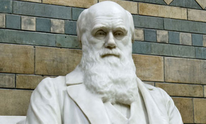 Darwin's "Thinking Path" | Actualise Daily